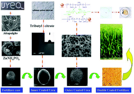 Biomass-based multifunctional fertilizer system featuring controlled ...
