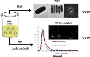 Nanoparticle tracking analysis of gold nanomaterials stabilized by ...