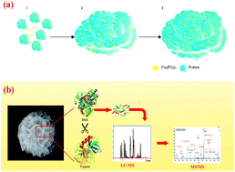 Facile synthesis of enzyme–inorganic hybrid nanoflowers and their ...