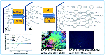 Liquid crystal (LC) monolayer on Indium Tin Oxide (ITO): structural and ...