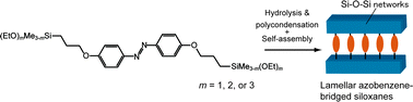 Azobenzene–siloxane hybrids with lamellar structures from bridge-type ...