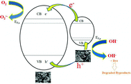 Enhanced photocatalytic degradation of congo red by solvothermally ...