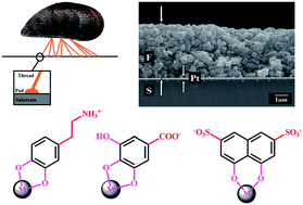 A review of new methods of surface chemical modification, dispersion ...