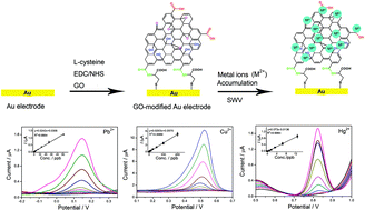 Graphene oxide-based electrochemical sensor: a platform for ...