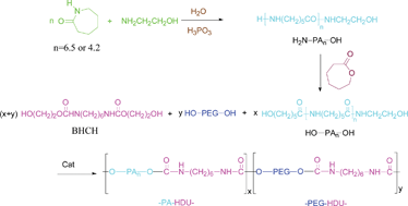 Synthesis and characterization of aliphatic segmented poly(ether amide ...