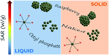 Heating ability of cobalt ferrite nanoparticles showing dynamic and ...