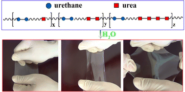 Mechanically strong and stretchable polyurethane–urea supramolecular ...