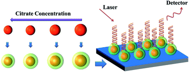 Aptamer based surface enhanced Raman scattering detection of adenosine ...
