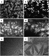 Structures and morphologies of biocompatible and biodegradable block ...