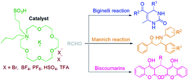 Brønsted acidic ionic liquids of aza-crown ether complex cations: preparation and applications ...