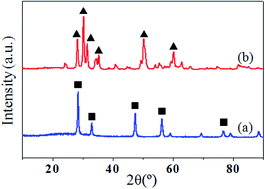 Dimethyl carbonate synthesis from carbon dioxide and methanol over CeO2 ...