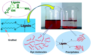 Ultrasonic-assisted synthesis of aminated lignin by a Mannich reaction ...