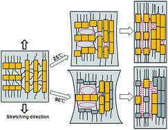 Pore formation mechanism of β nucleated polypropylene stretched ...