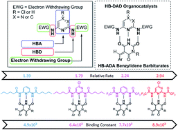 Hydrogen bond donor–acceptor–donor organocatalysis for conjugate ...