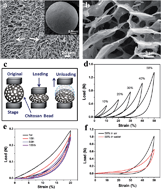 Tailoring the adsorption rate of porous chitosan and chitosan–carbon nanotube core–shell beads ...