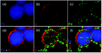 Structures of Pd–Fe(0) bimetallic nanoparticles near 0.1 nm resolution ...
