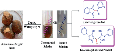 Aqueous extract of Balanites roxburghii fruit: a green dispersant for C ...