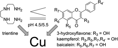 In vitro evaluation of copper-chelating properties of flavonoids - RSC ...