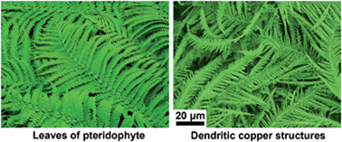 Facile synthesis of air-stable nano/submicro dendritic copper ...