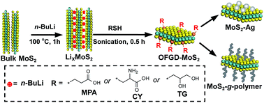 Facile approach to surface functionalized MoS2 nanosheets - RSC ...