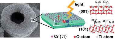 Enhanced photocatalytic activity of hierarchical structure TiO2 hollow ...
