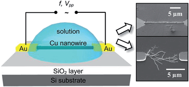 Copper nanowire synthesis by directed electrochemical nanowire assembly ...