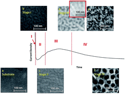 Morphological evolution of anodic TiO2 nanotubes - RSC Advances (RSC ...