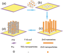 TiO2 nanoparticle/ZnO nanowire hybrid photoanode for enhanced quantum ...
