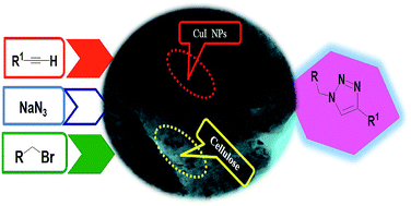 Cellulose supported cuprous iodide nanoparticles (Cell-CuI NPs): a new ...