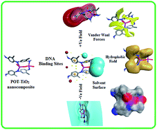 In vitro DNA binding, molecular docking and antimicrobial studies on a newly synthesized poly(o ...