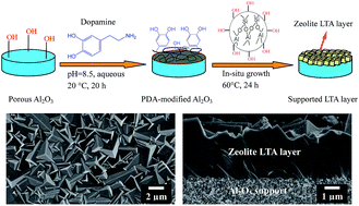 Mussel-inspired polydopamine modification of supports for the facile ...