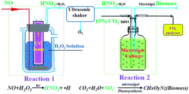 The oxidation product (NO3−) of NO pollutant in flue gas used as a ...
