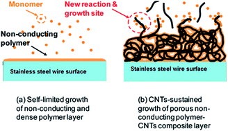 Electropolymerization of carbon nanotubes/poly-ortho-aminophenol ...