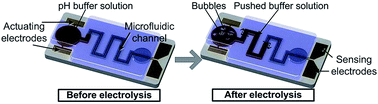 Acid-sensitive pH sensor using electrolysis and a microfluidic channel ...