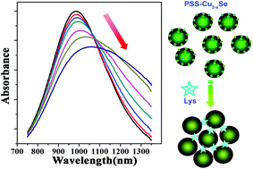 Tuning of the near-infrared localized surface plasmon resonance of Cu2−xSe nanoparticles with ...