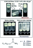 Creation of thixotropic multicomponent alkylamide organogels containing ...
