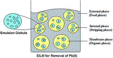 Emulsion ionic liquid membranes (EILMs) for removal of Pb(ii) from ...