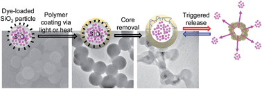 A strategy to design biocompatible polymer particles possessing ...