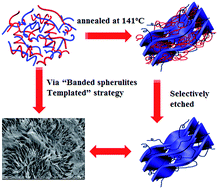 Banded spherulite templated three-dimensional interpenetrated ...