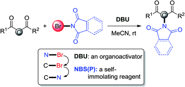 Direct α-C-H amination of β-dicarbonyl compounds using DBU-activated N ...