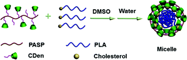 Construction of micelles based on biocompatible pseudo-graft polymers ...