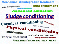 A review on sludge conditioning by sludge pre-treatment with a focus on ...