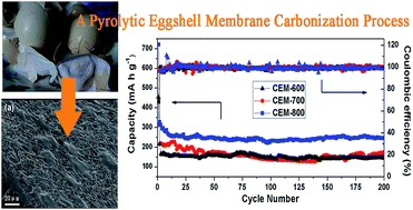 Recycling chicken eggshell membranes for high-capacity sodium battery ...