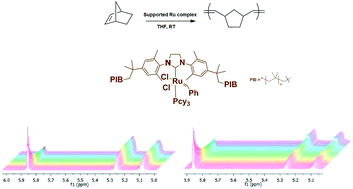 Ring-opening metathesis polymerization using polyisobutylene supported ...