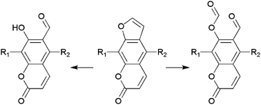 End-group differentiating ozonolysis of furocoumarins - RSC Advances ...