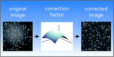 A rapid and effective vignetting correction for quantitative microscopy ...