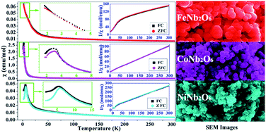 Synthesis and magnetic properties of MNb2O6 (M = Fe, Co, Ni ...