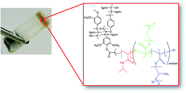 Biomass-based thermogelling copolymers consisting of lignin and grafted ...