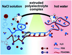 Tough strained fibers of a polyelectrolyte complex: pretensioned ...