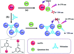 Label-free fluorescence turn-on sensing for melamine based on ...